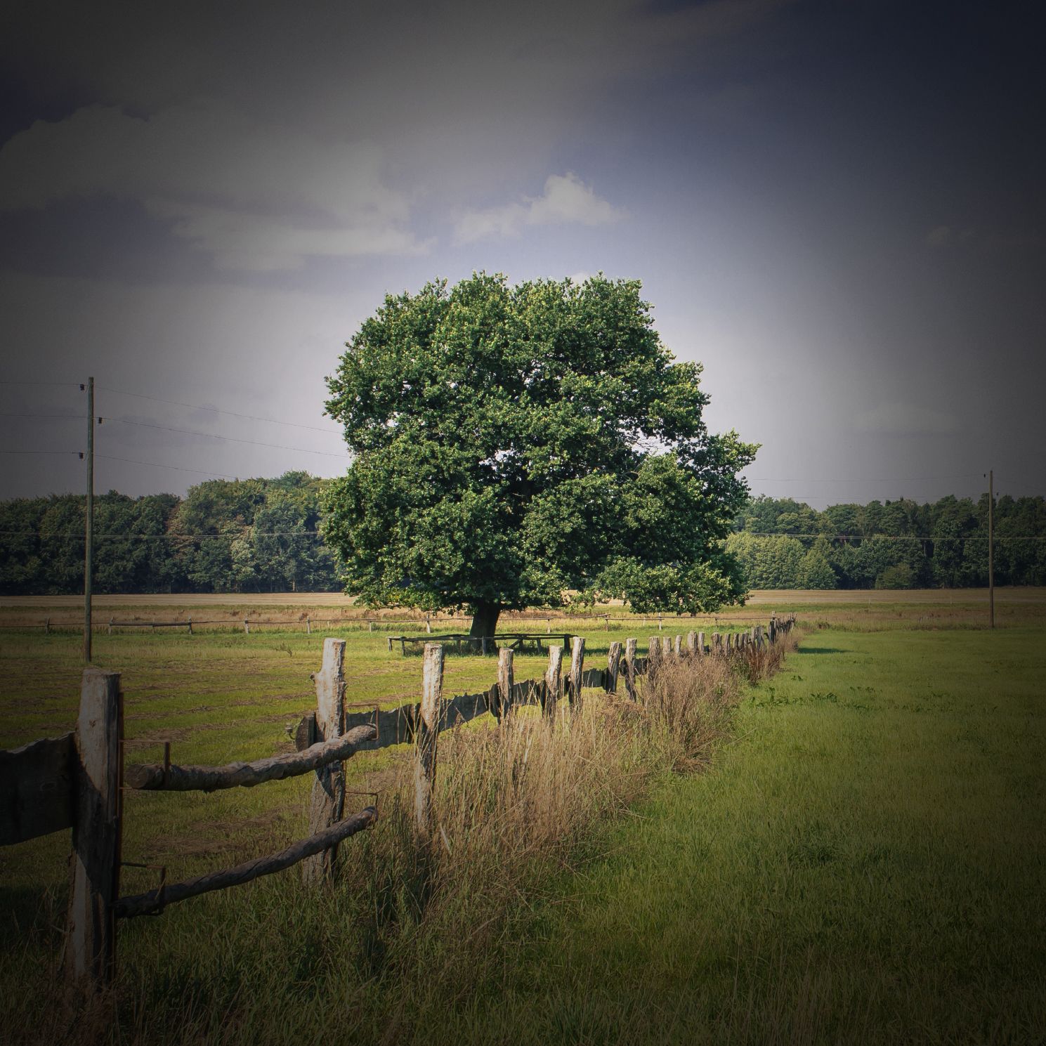 Conditions That Cause Poor Peripheral Vision McAllen TX
